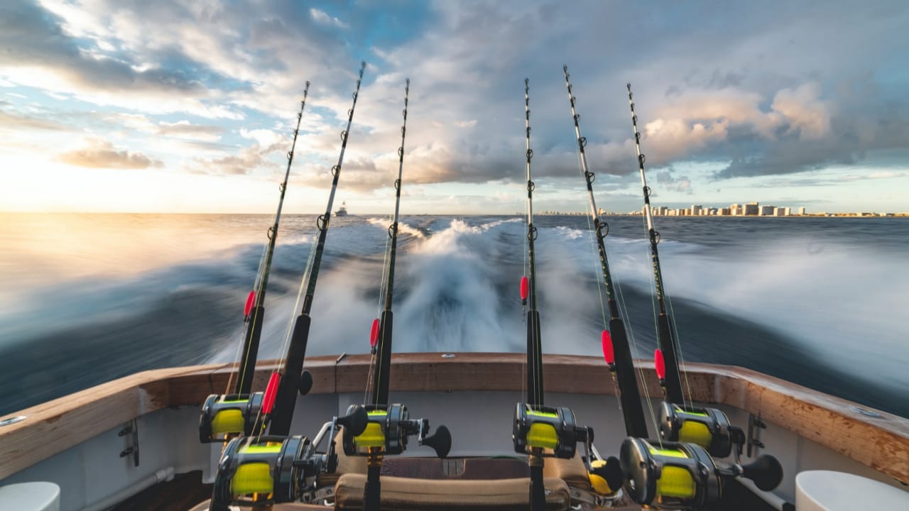 4 Best Places for Deep Sea Fishing in South Carolina, USA - Dreamtrix