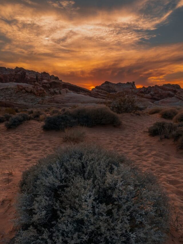 Top 7 Natural Wonders to visit in Nevada, USA - Dreamtrix