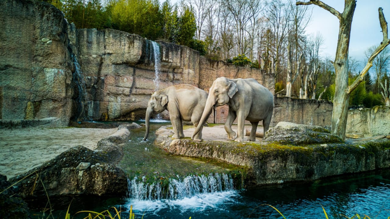 Top 8 Places to Visit in Zurich, Switzerland - Dreamtrix