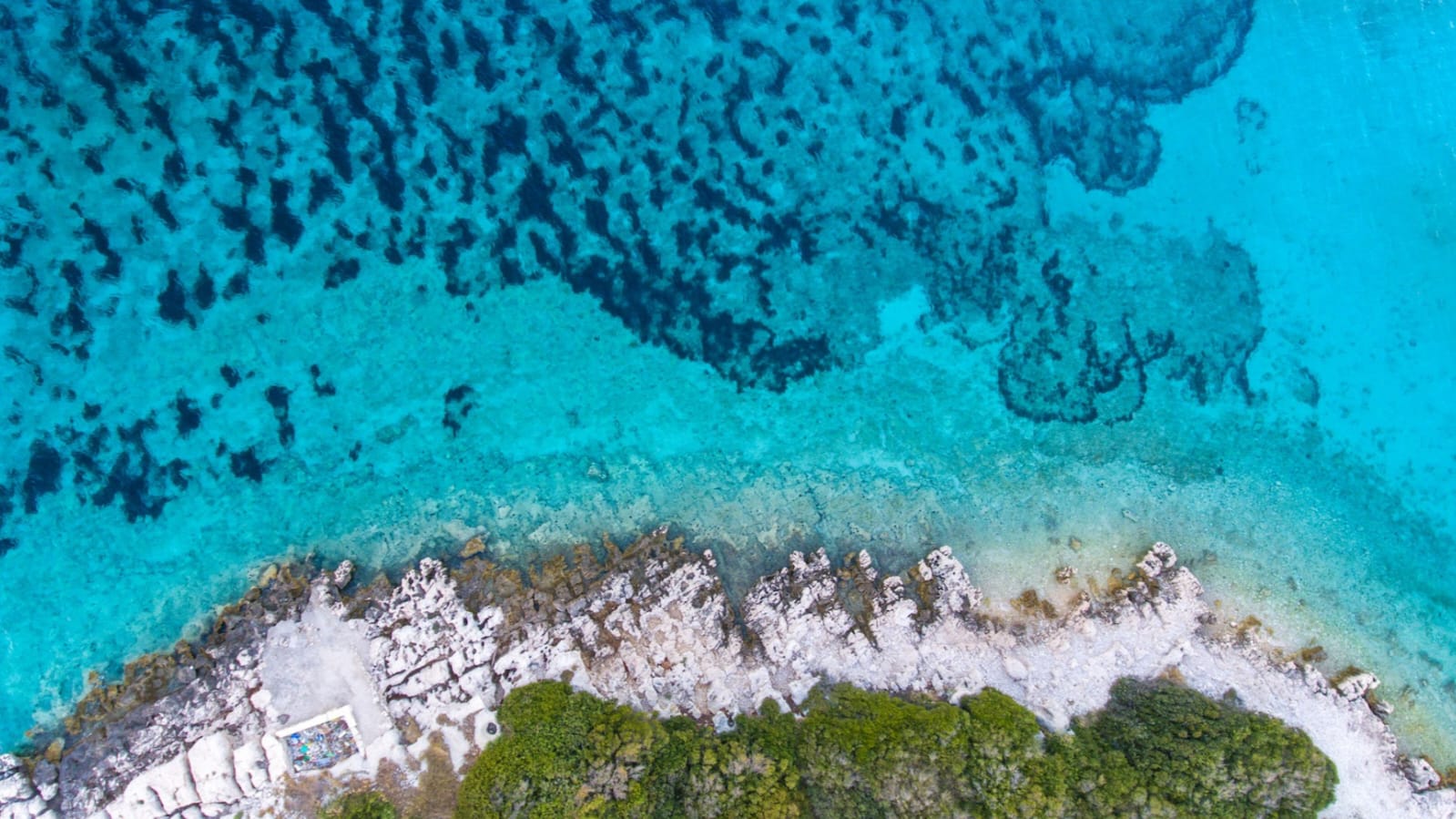 Top 6 Beautiful Coral Reefs In The World That You Must Visit