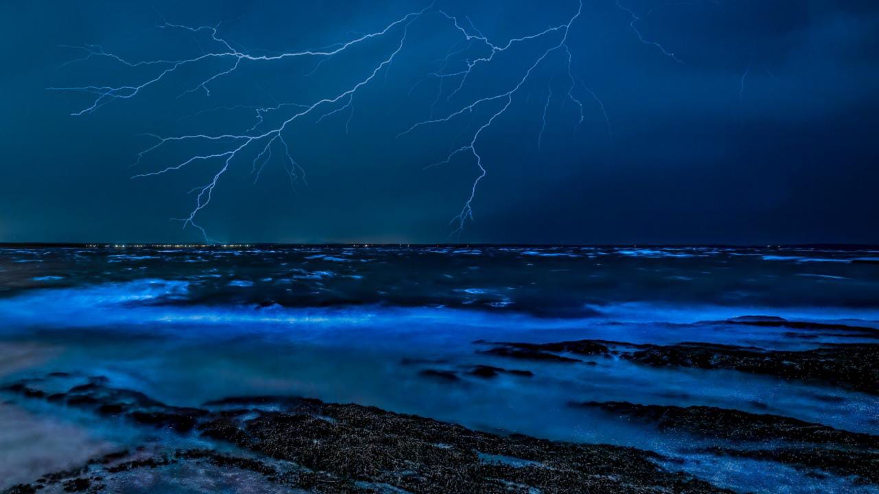 Top 5 Beautiful Bioluminescent Beaches In India - Dreamtrix