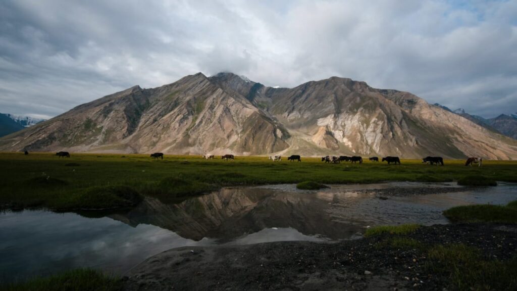 Shergaon, Arunachal Pradesh - Homestays, Places to Visit - Dreamtrix