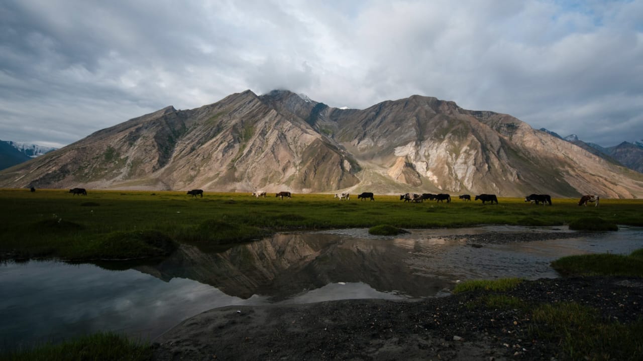 Zanskar Valley (Ladakh) - Best Time To Visit, Things To Do - Dreamtrix