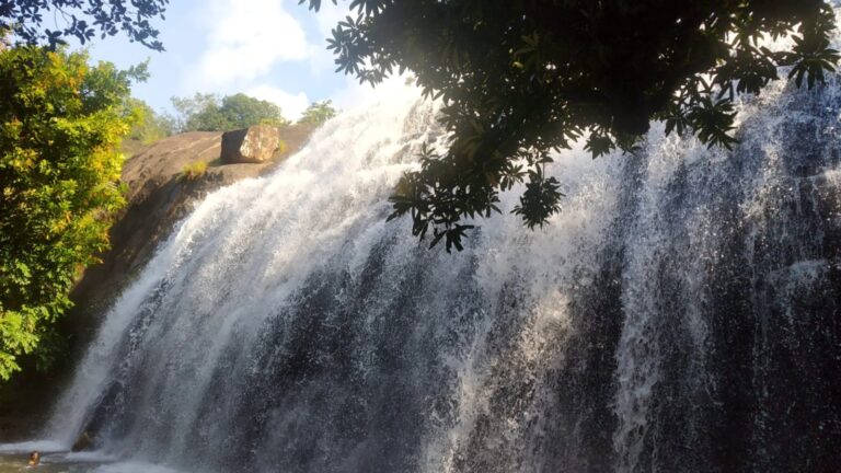 Top 8 Gorgeous Waterfalls To Visit in Kerala - Dreamtrix