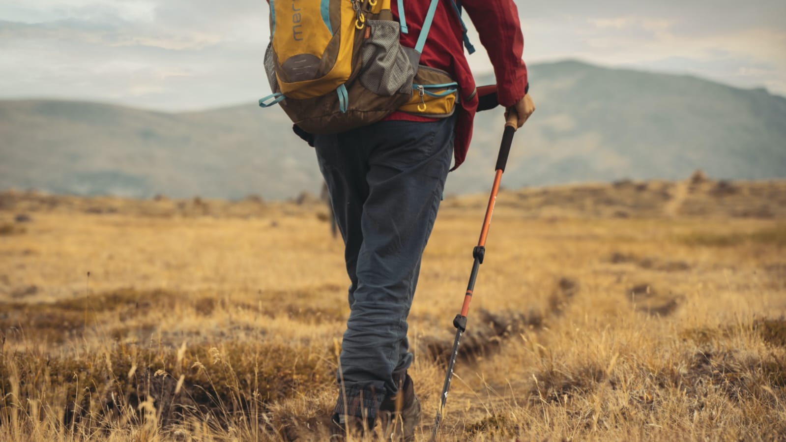 6 Best Treks You Must Go On in Tamil Nadu (India) - Dreamtrix
