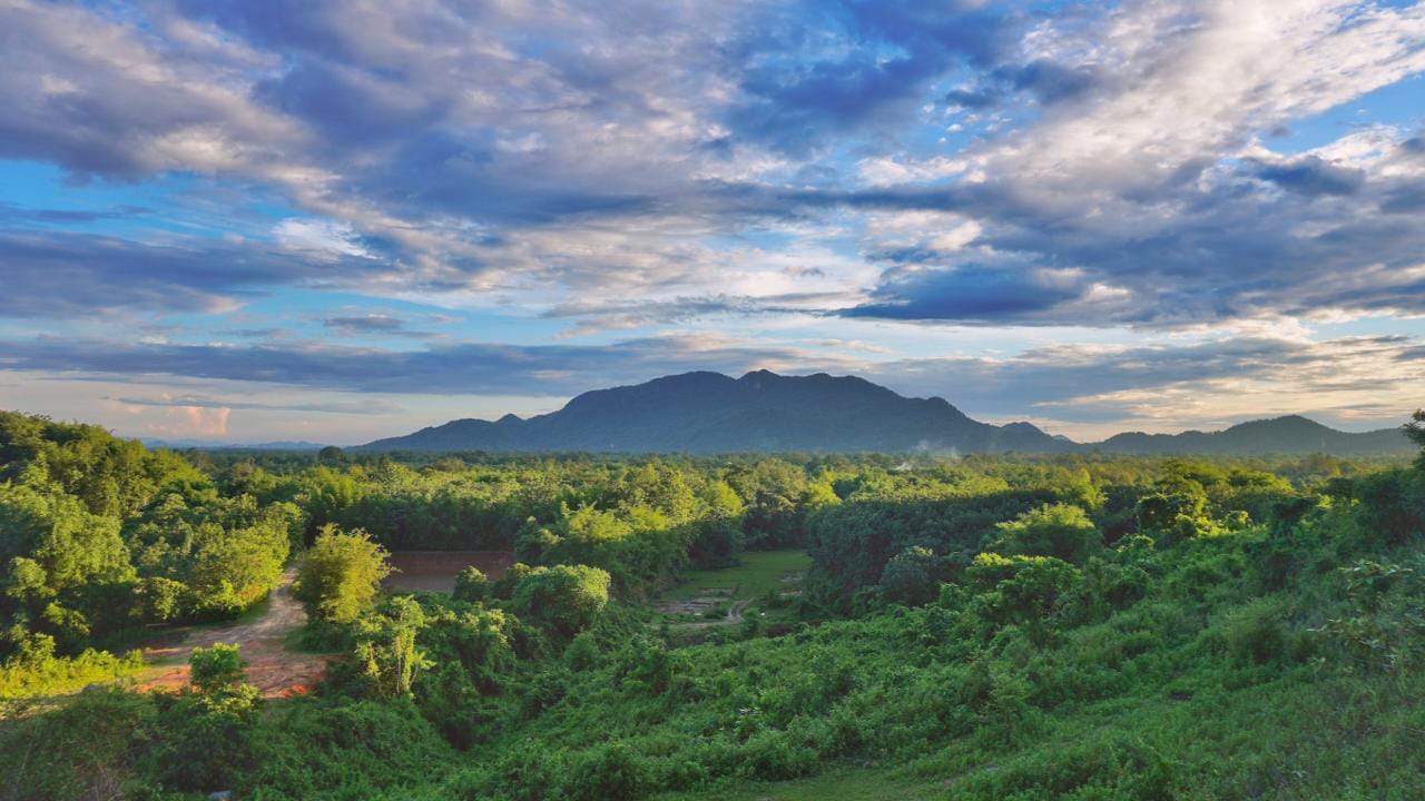 Top 6 Incredible Places To Visit In Assam (India) - Dreamtrix