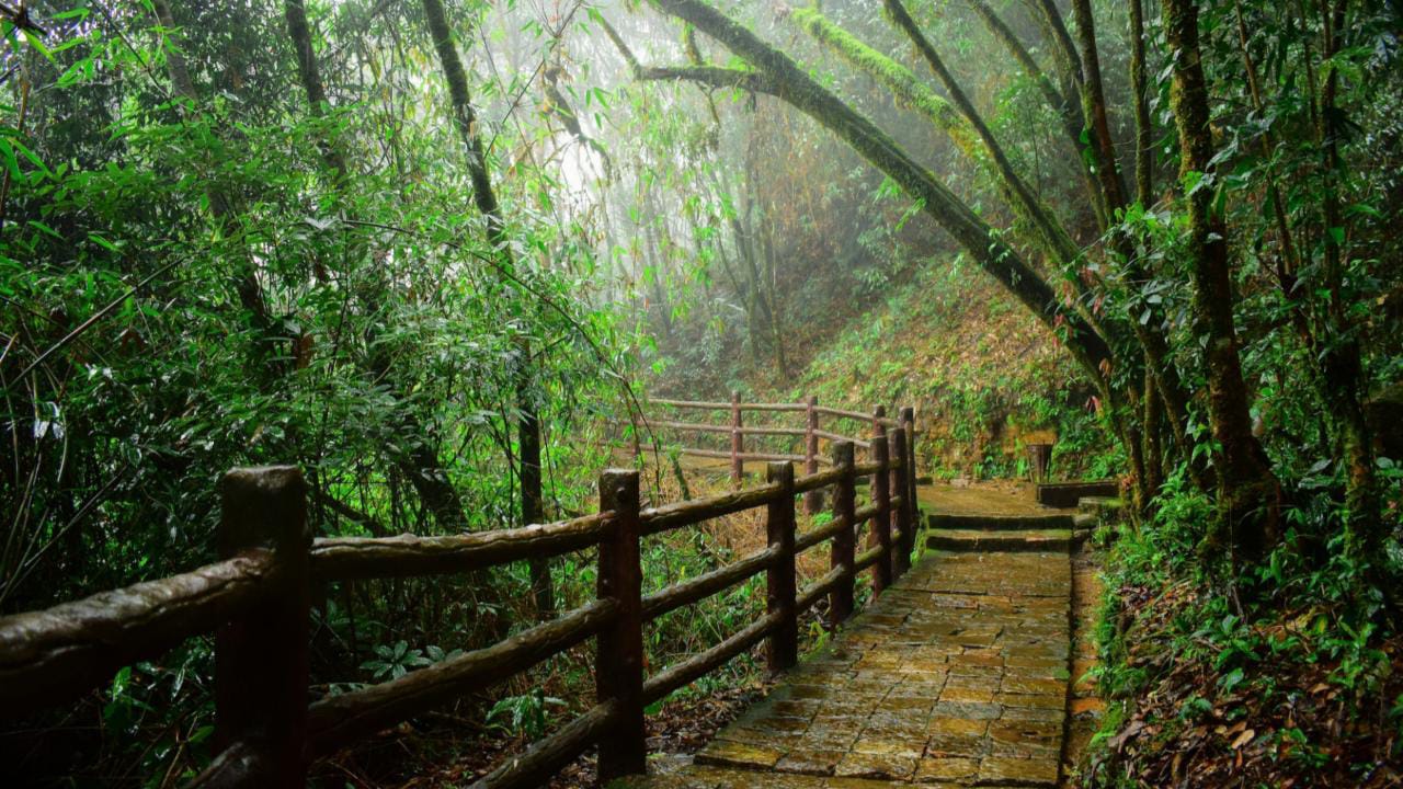 6 Places To Visit In Shillong | Shillong Sightseeing - Dreamtrix