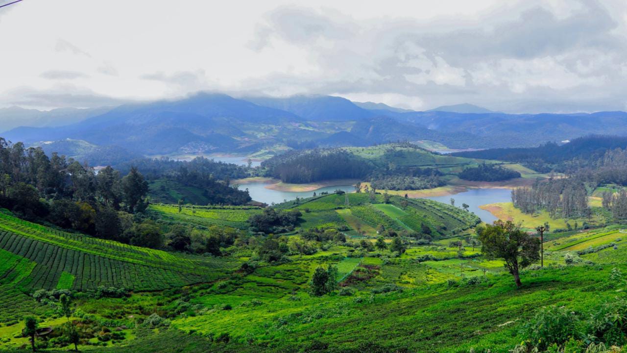 Hidden Valley, Coonoor (Tamil Nadu) - 6 Things To Know - Dreamtrix