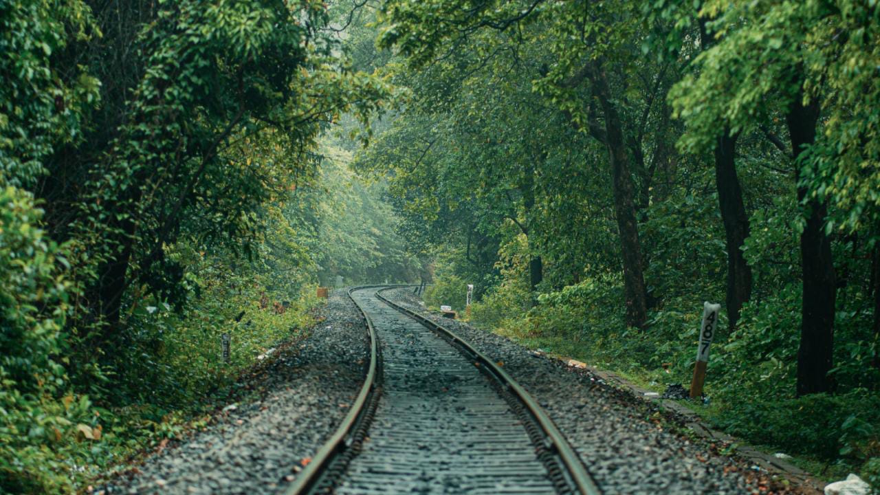 6 Best National Parks & Wildlife Sanctuaries in Goa - Dreamtrix