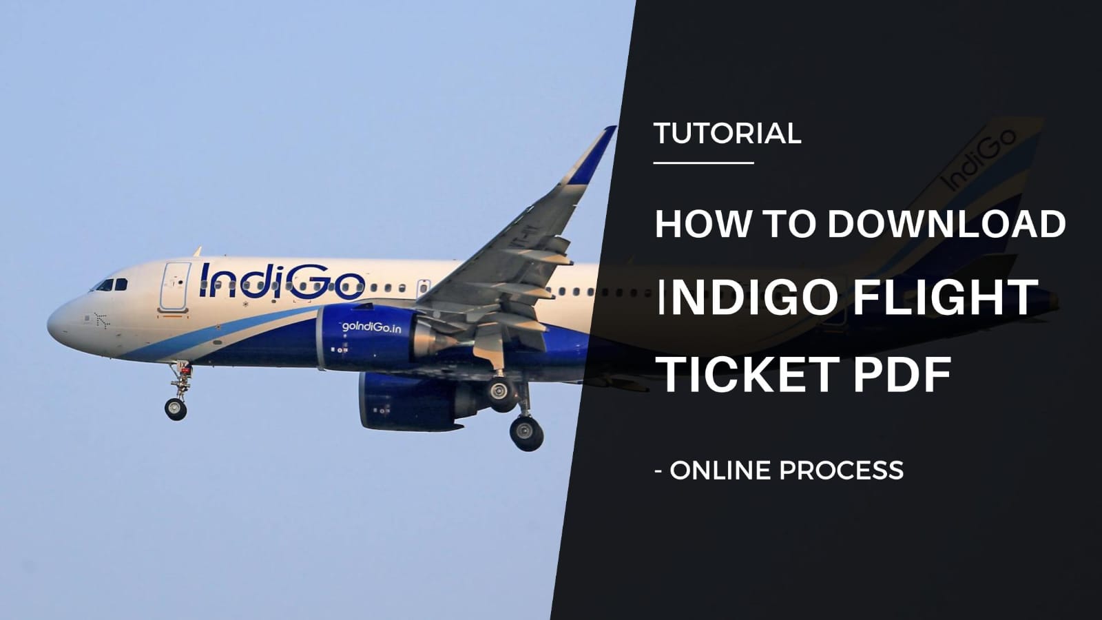 Top 8 Lighthouses On The East Coast Of United States (USA)