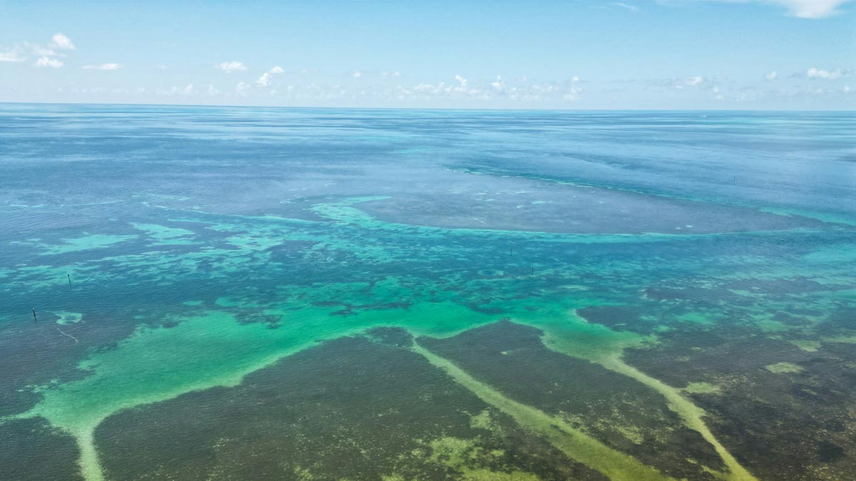 6 Amazing Landmarks To Visit In Florida (USA) - Dreamtrix